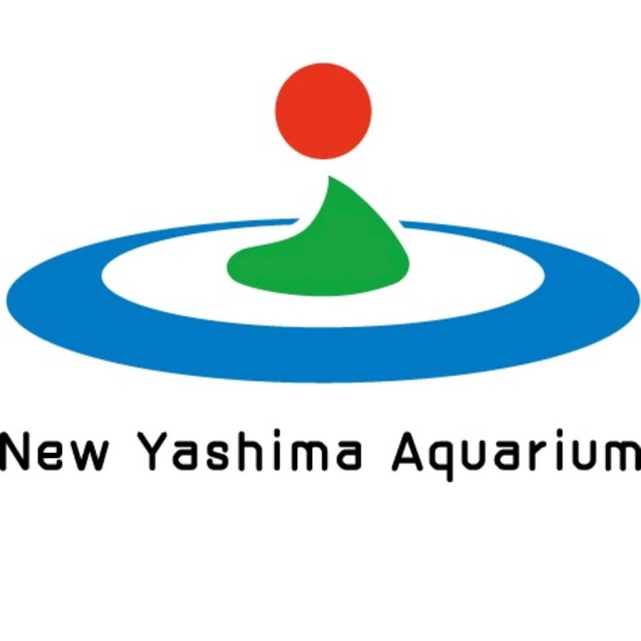 WORKS - 株式会社SENSIIST｜SENSIIST LTD.