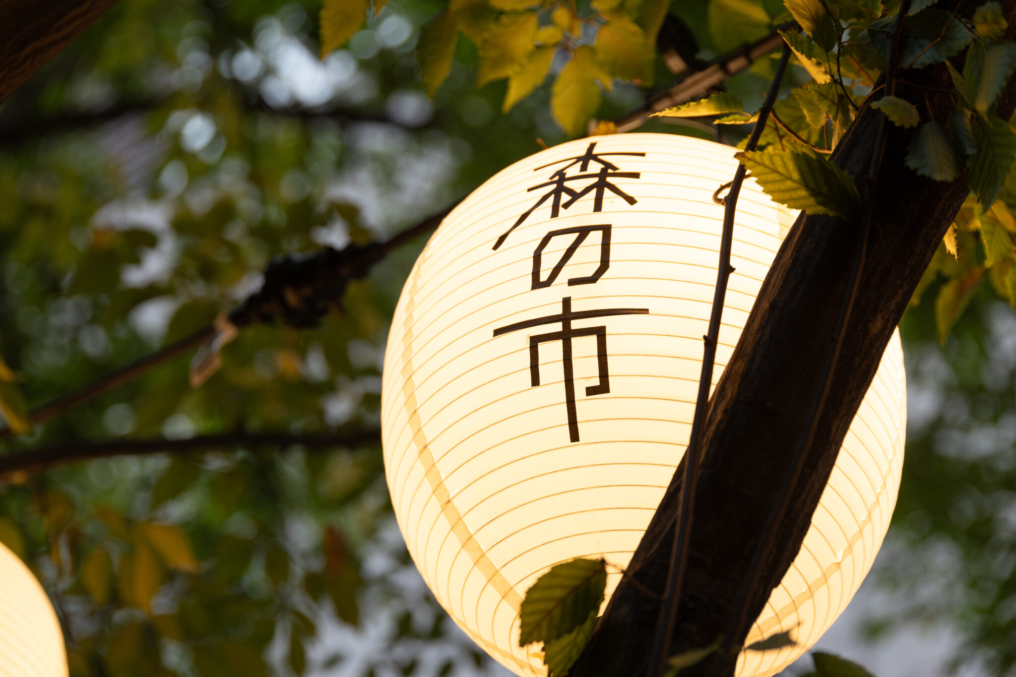 Case Studies - 株式会社SENSIIST｜SENSIIST LTD.